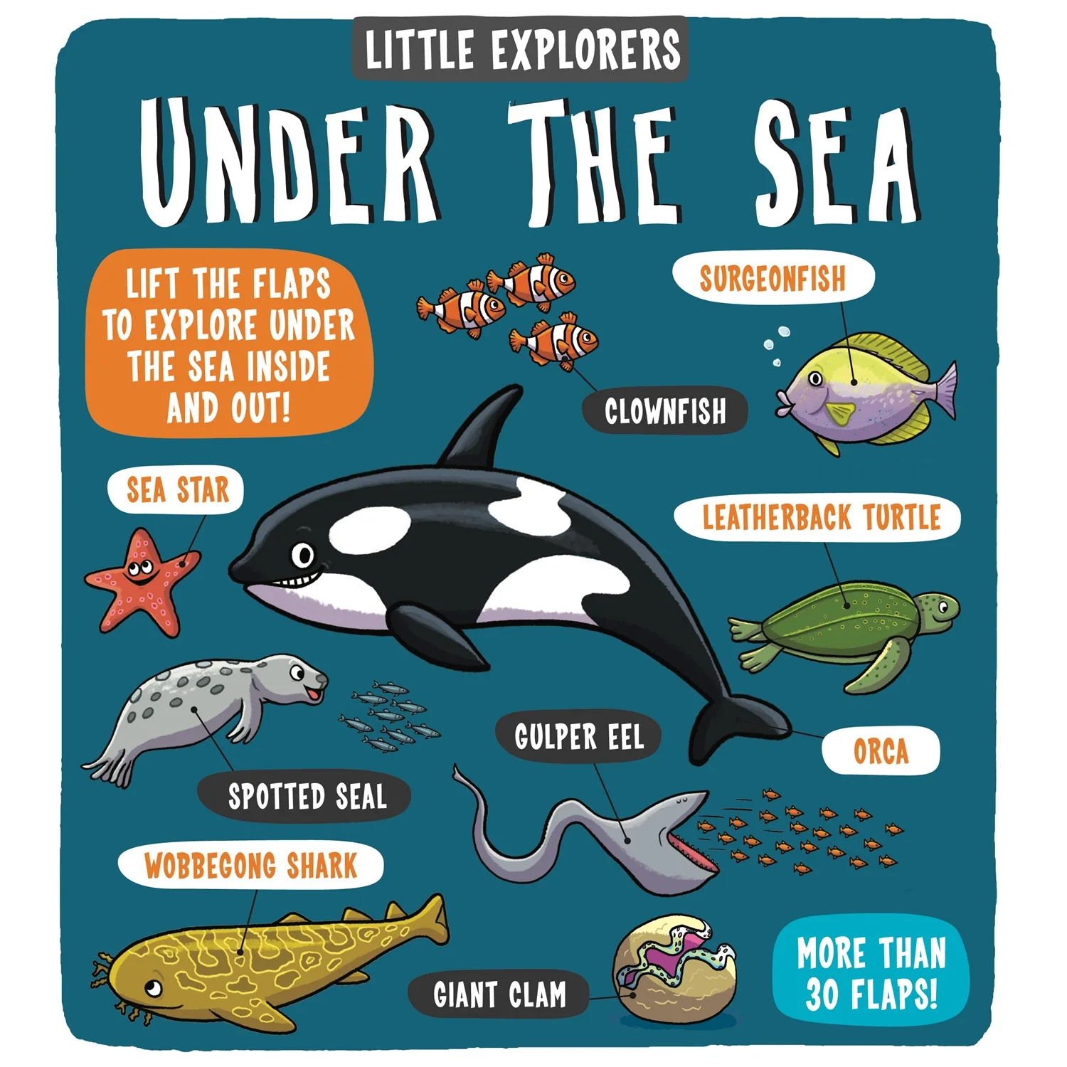 Little Explorers Under The Sea By Templar - STEM Education Toys